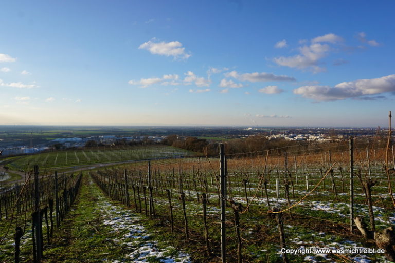 Heidelberg Boxberg – Frank's Blog